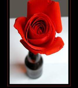 Цветы розы. Основной цвет обоев: Амарантово-розовый