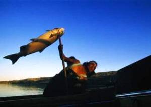 Рыбалка обои и картинки на рабочий стол скачать