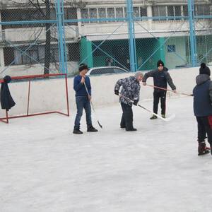 Хоккей нхл. Основной цвет обоев: Серый коричневый